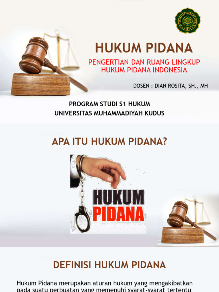 Hukum Pidana | PDF