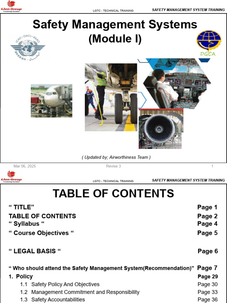 SMS Training Overview and Guidelines | PDF | Risk | Safety