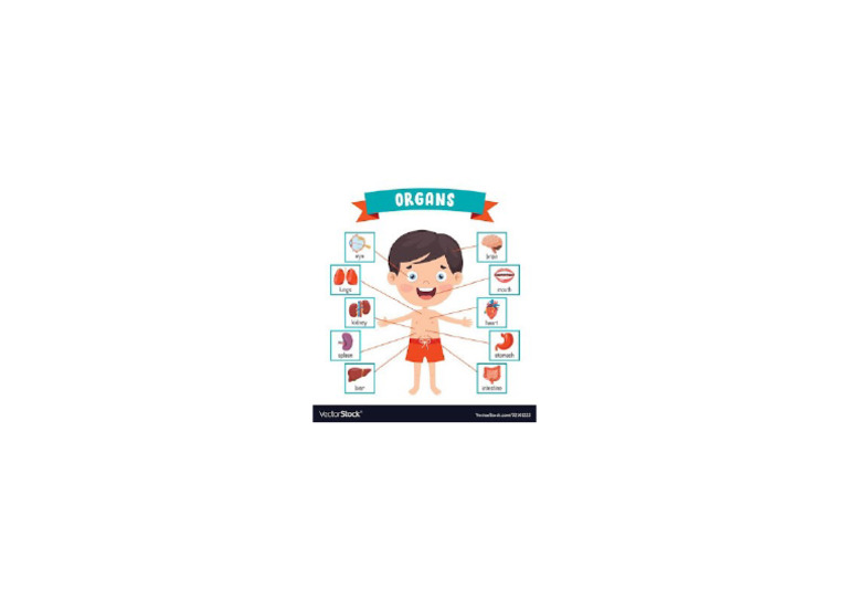 Emberi Test Feladat 1 | PDF