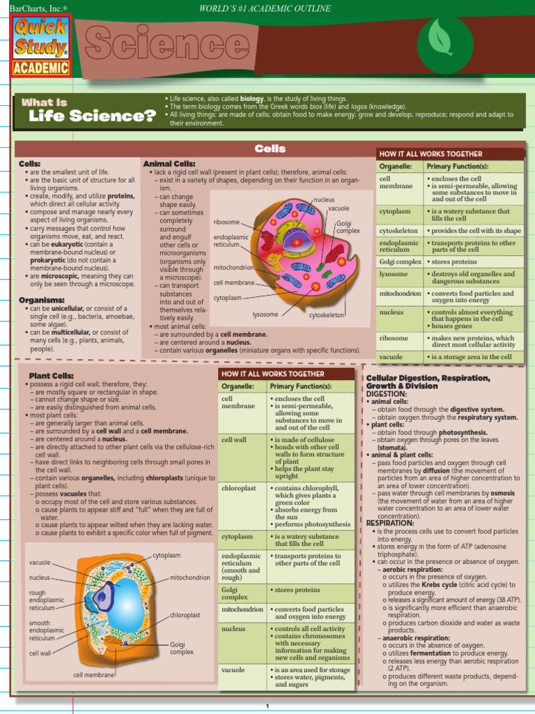 Science Fundamental Cells (Quick Study) | PDF | Cell (Biology) | Flowers