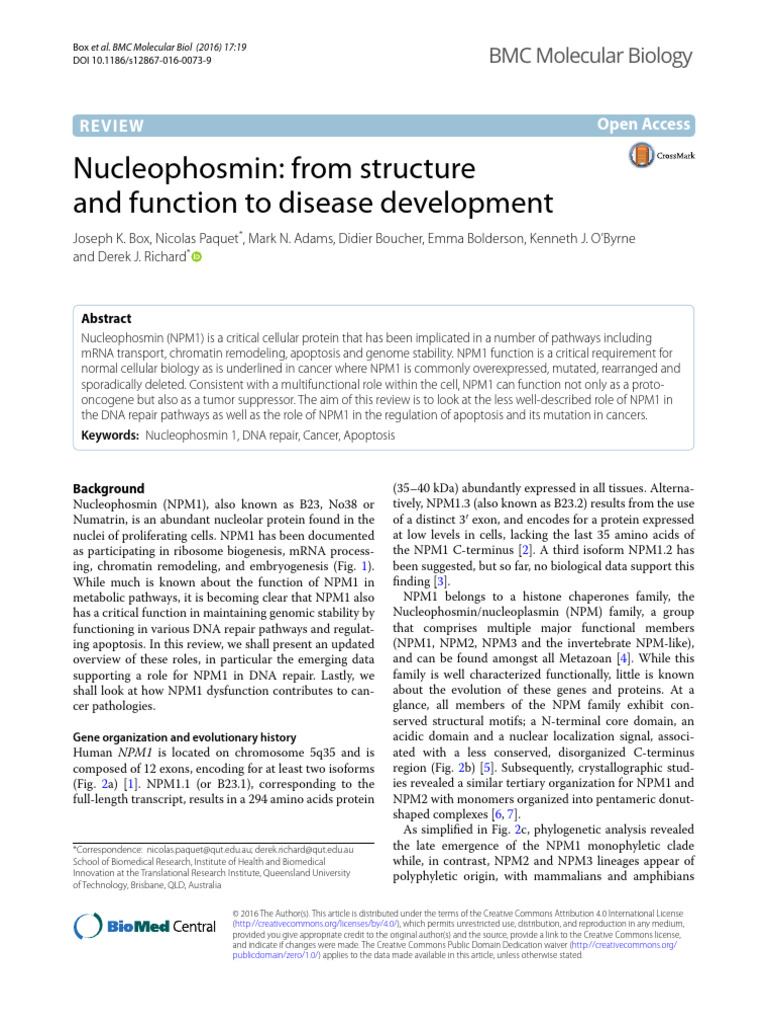 Box Et Al, 2016, Review - Nucleophosmin From Structure and Function To ...