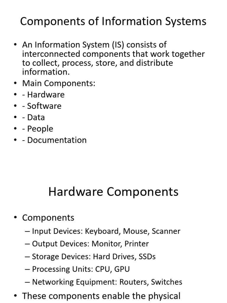 Lec 2 - Components of Information Systems | PDF