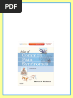 BASMI Scale | PDF | Anatomical Terms Of Motion | Knee