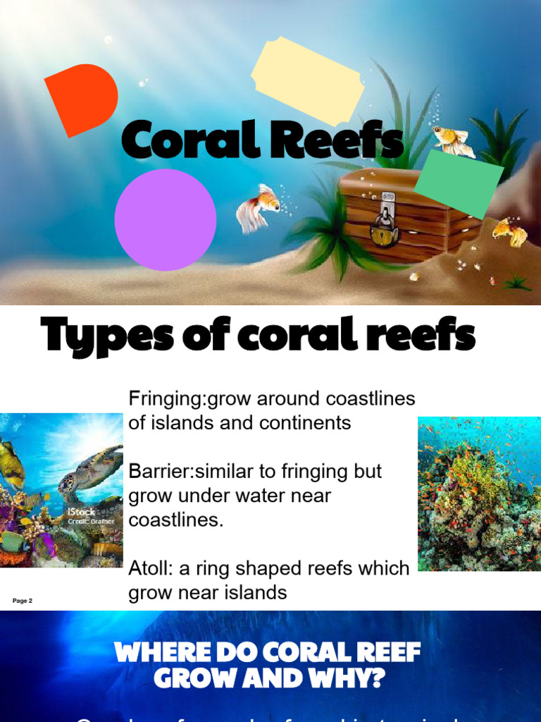 Coral Reefs | PDF