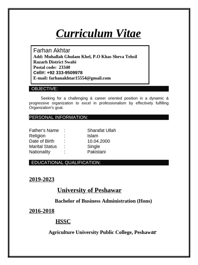 Junaid CV | PDF