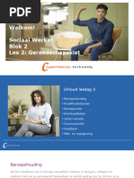 BPSW Beroepscode 2021 | PDF