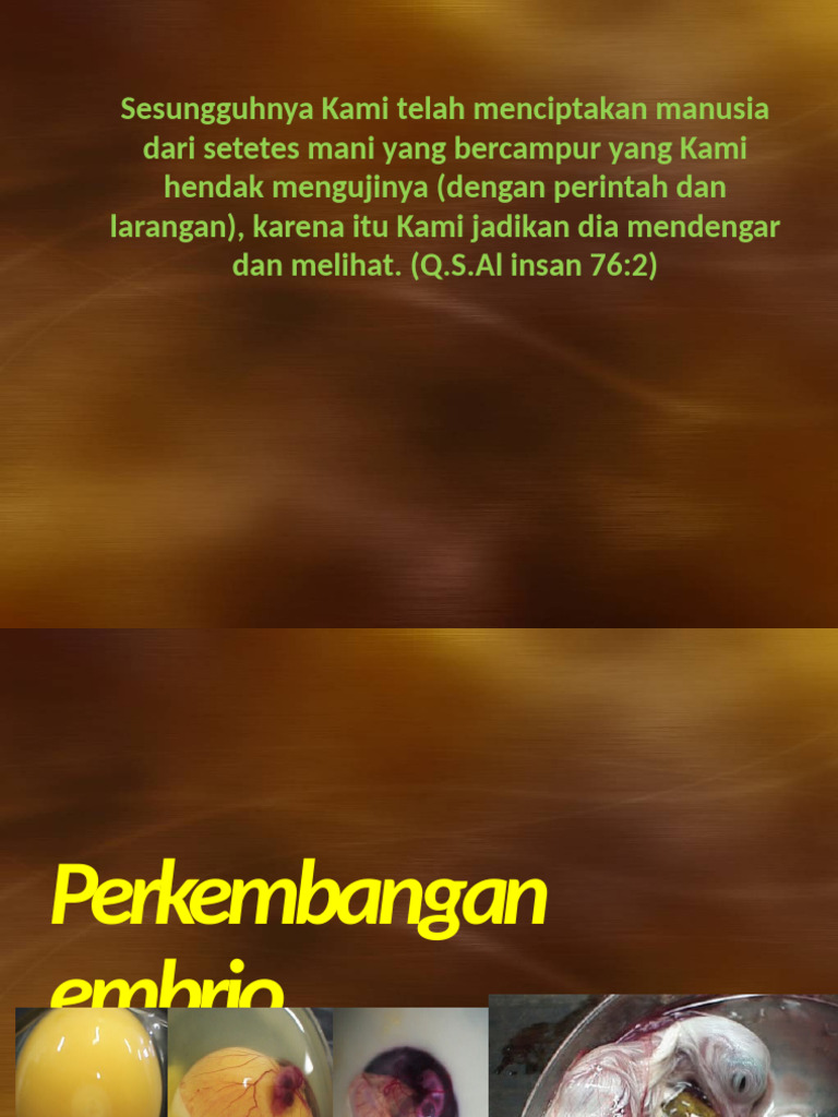 Perkembangan Embrio | PDF