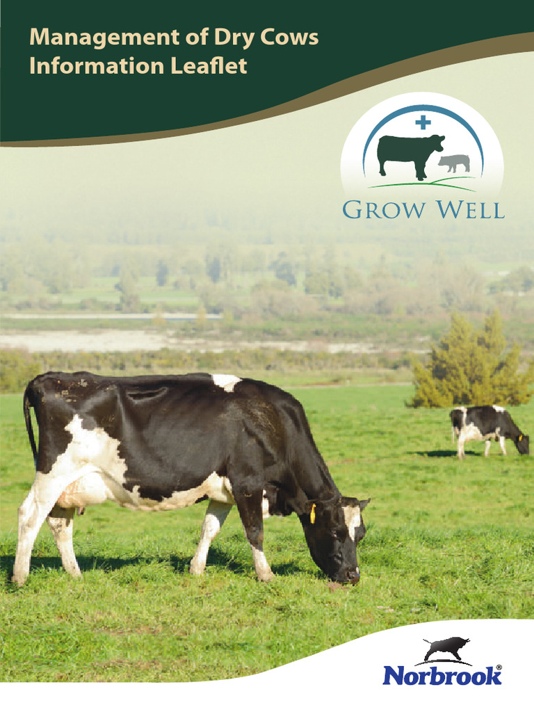 Management of Dry Cows Farmer Handout | PDF | Dairy | Cattle