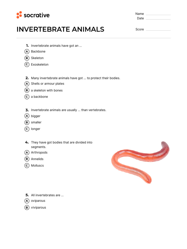 Quiz - INVERTEBRATE ANIMALS | PDF | Skeleton | Zoology