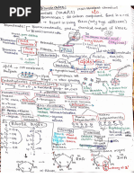 Bio Practical XI | PDF