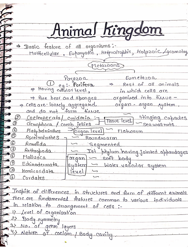 Animal Kingdom Biology (Zoology) Handwritten Notes | PDF