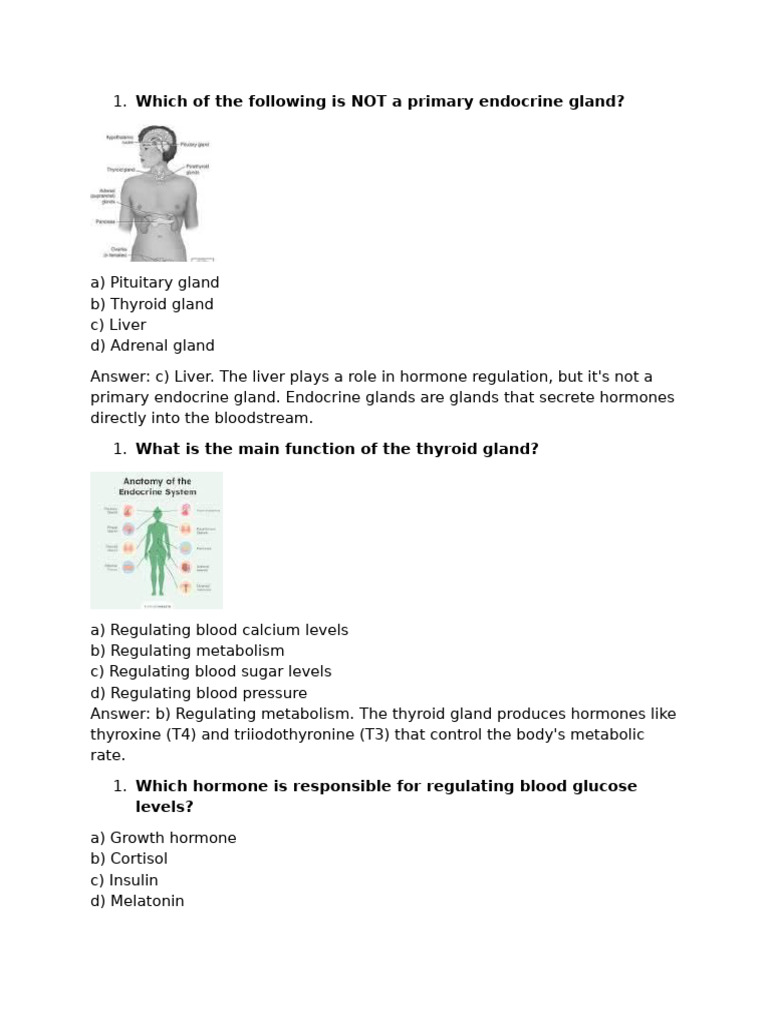 MCQ On Endocrine System | PDF | Endocrine System | Hormone