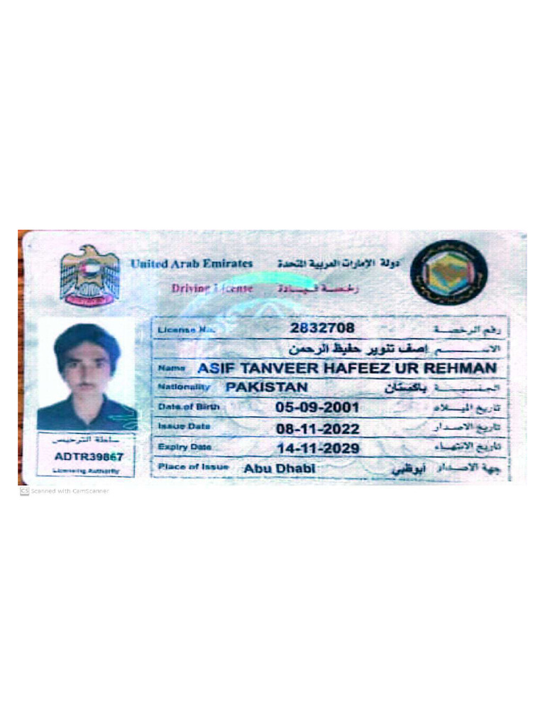 Lis1 Compressed | PDF