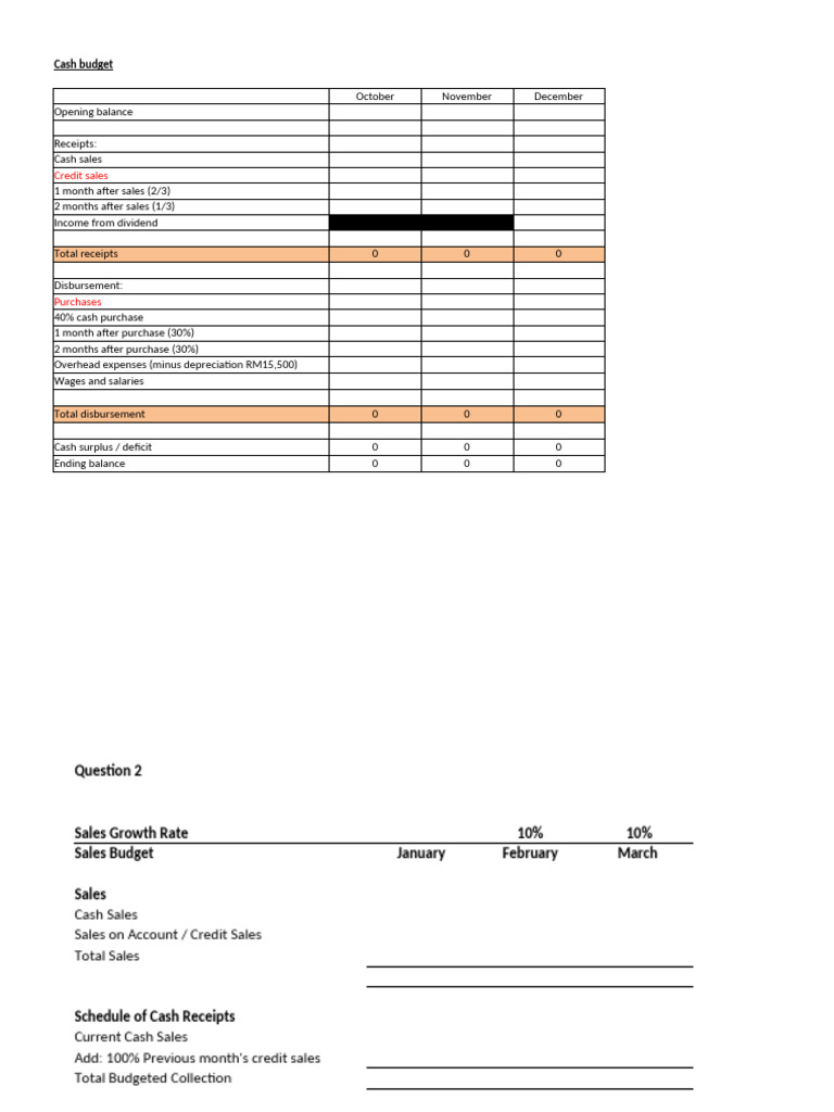 Cash Budget Overview and Format | PDF