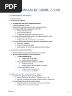 Anatomie du Muscle Sterno-Cléido-Mastoïdien | PDF | Cou | Artère ...