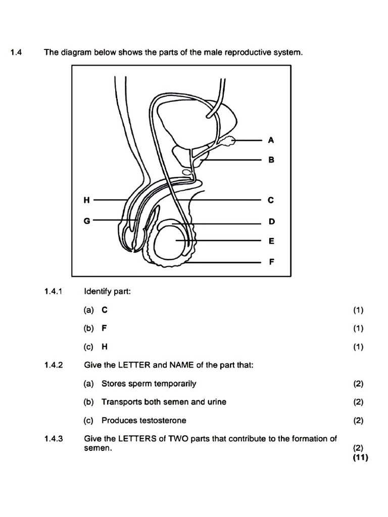 LFSC Practice Stack One | PDF