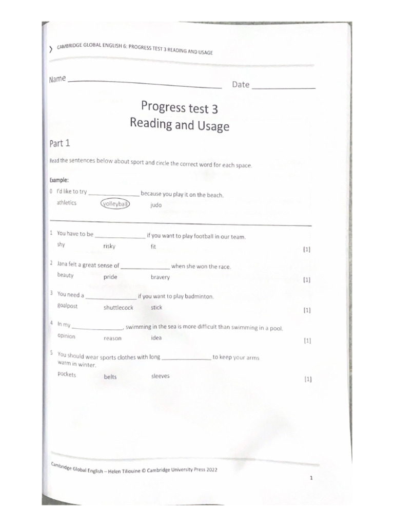 Global 6 - Progress Test 3 | PDF