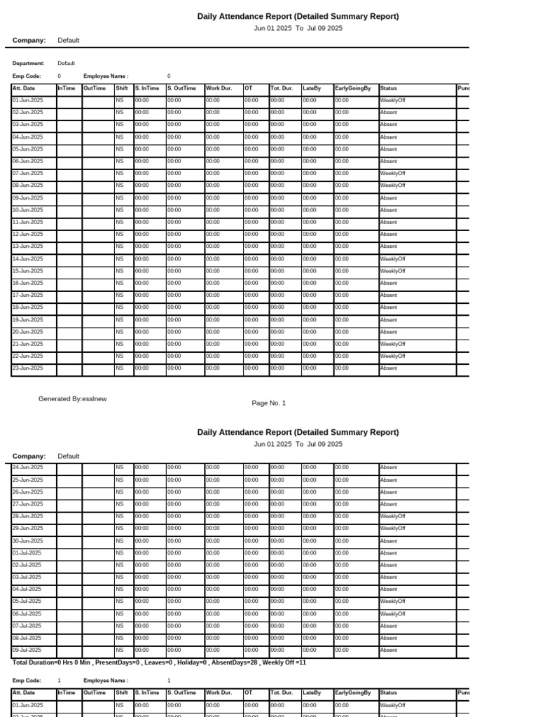 Daily Attendance Report Summary | PDF