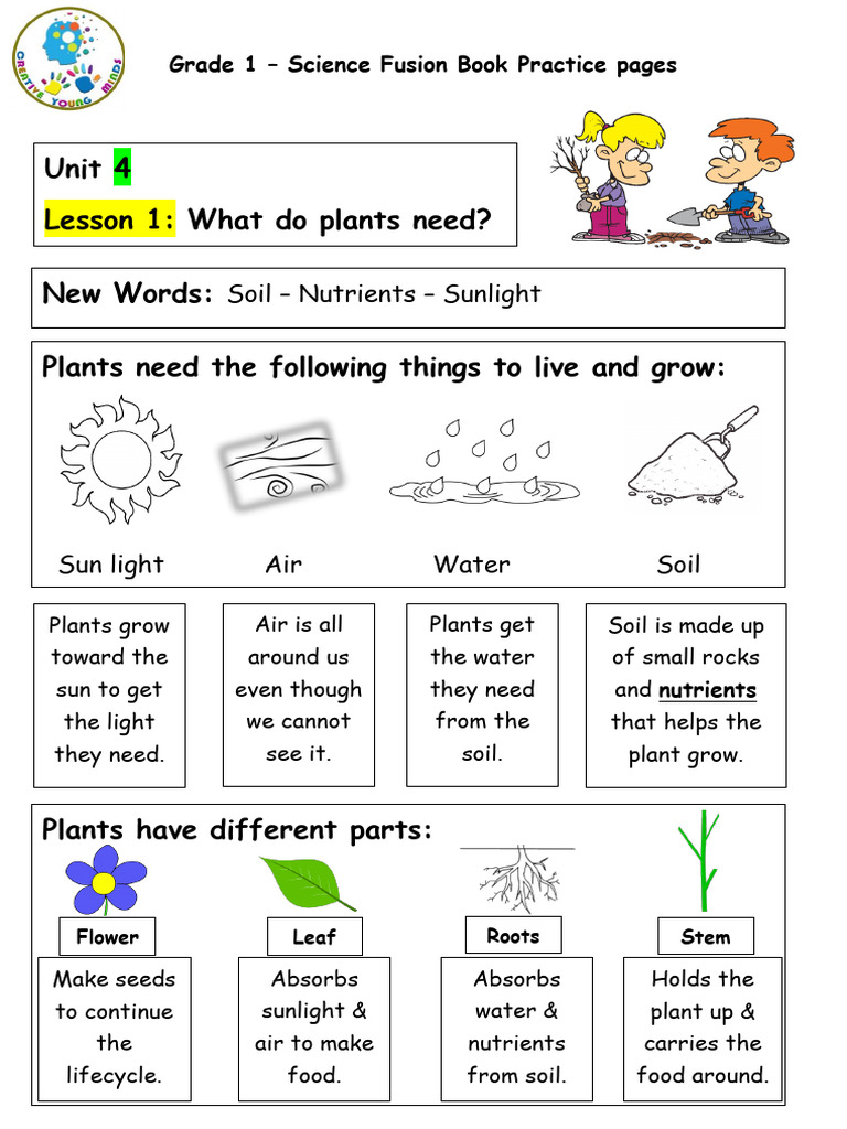 Essential Needs of Plants for Growth | PDF