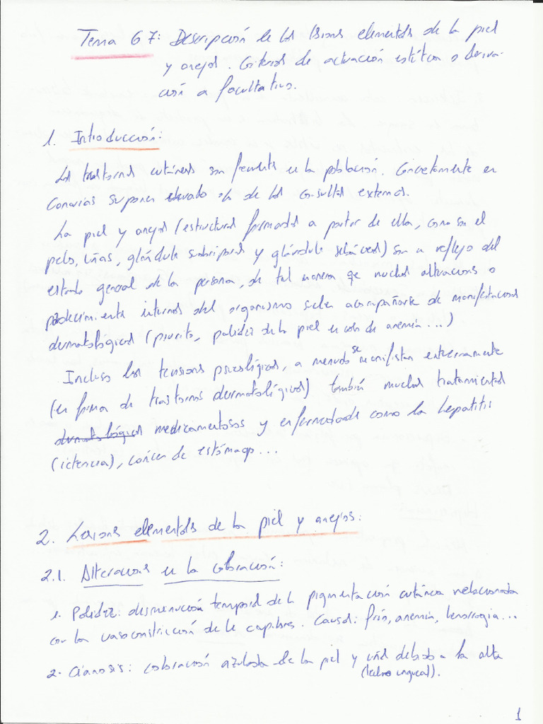 TEMA 67. Lesiones Elementales | PDF
