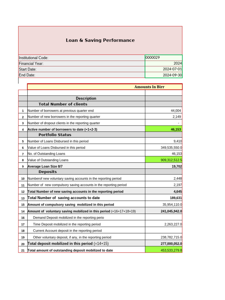 2024 Loan and Savings Performance Report | PDF | Loans | Debt