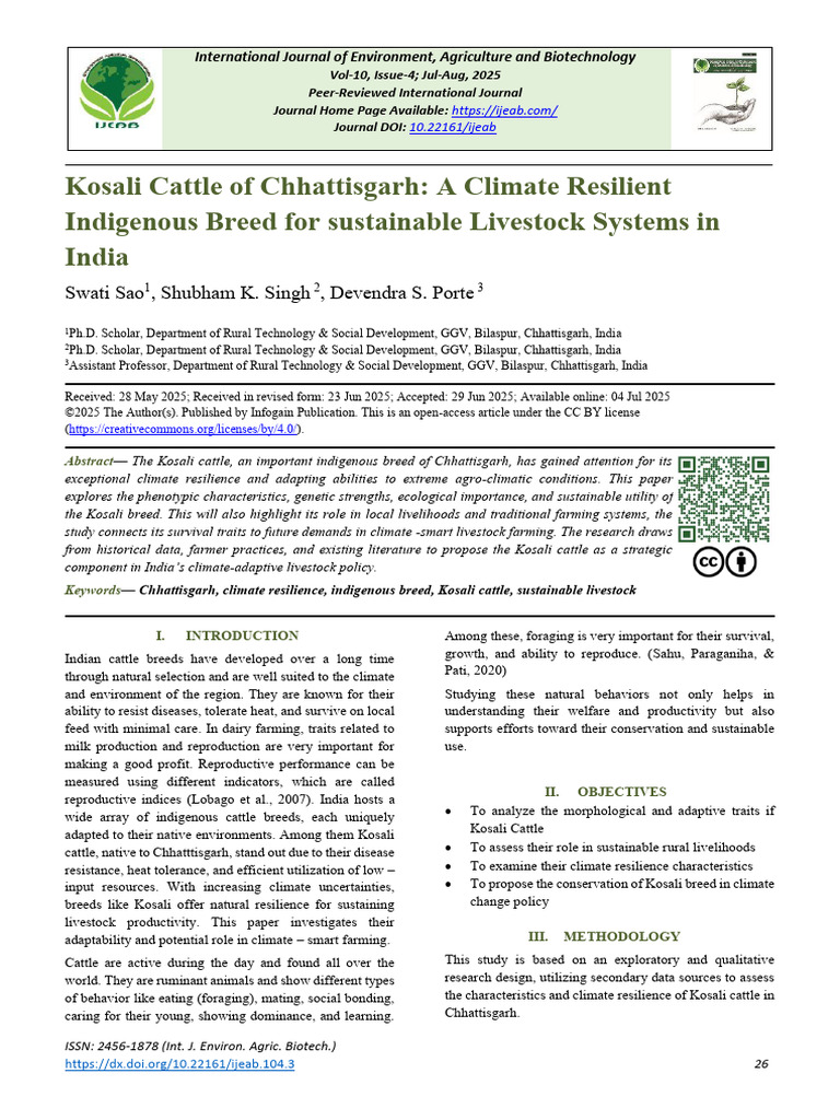 Kosali Cattle: Climate-Resilient Breed in Chhattisgarh | PDF | Cattle ...