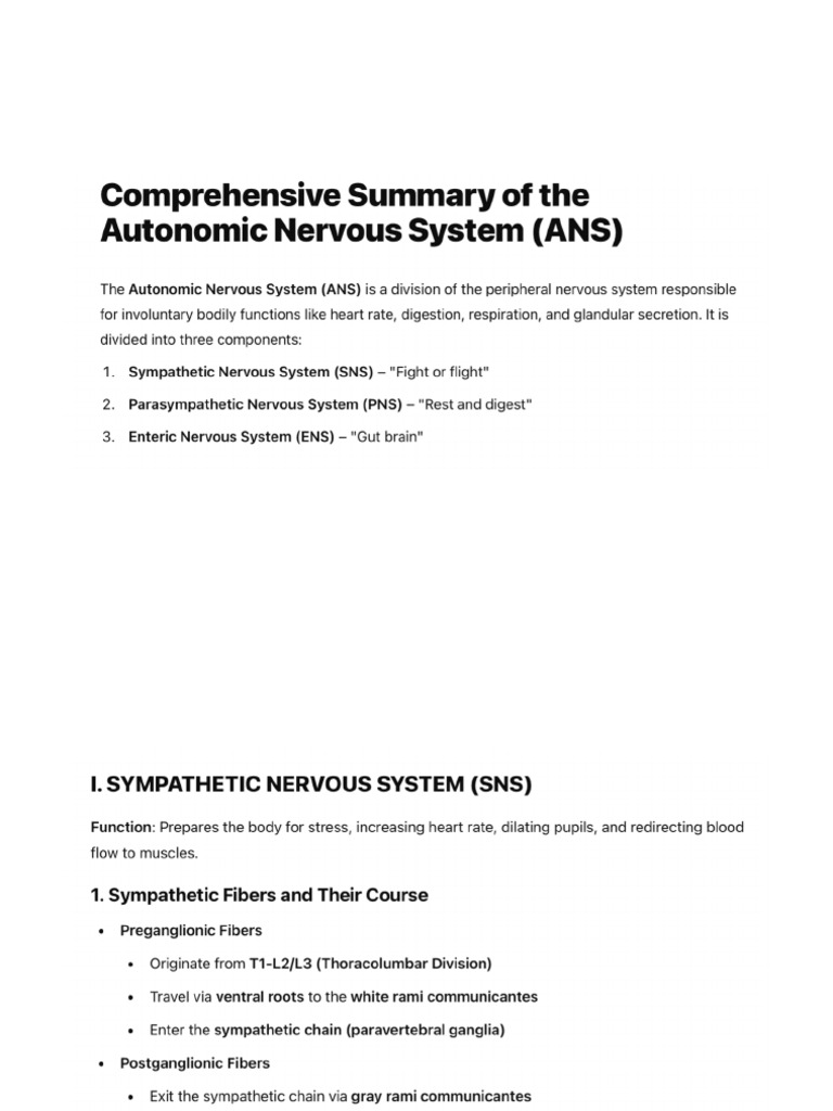 01 Ans - Neuro Summary - by Lcs | PDF