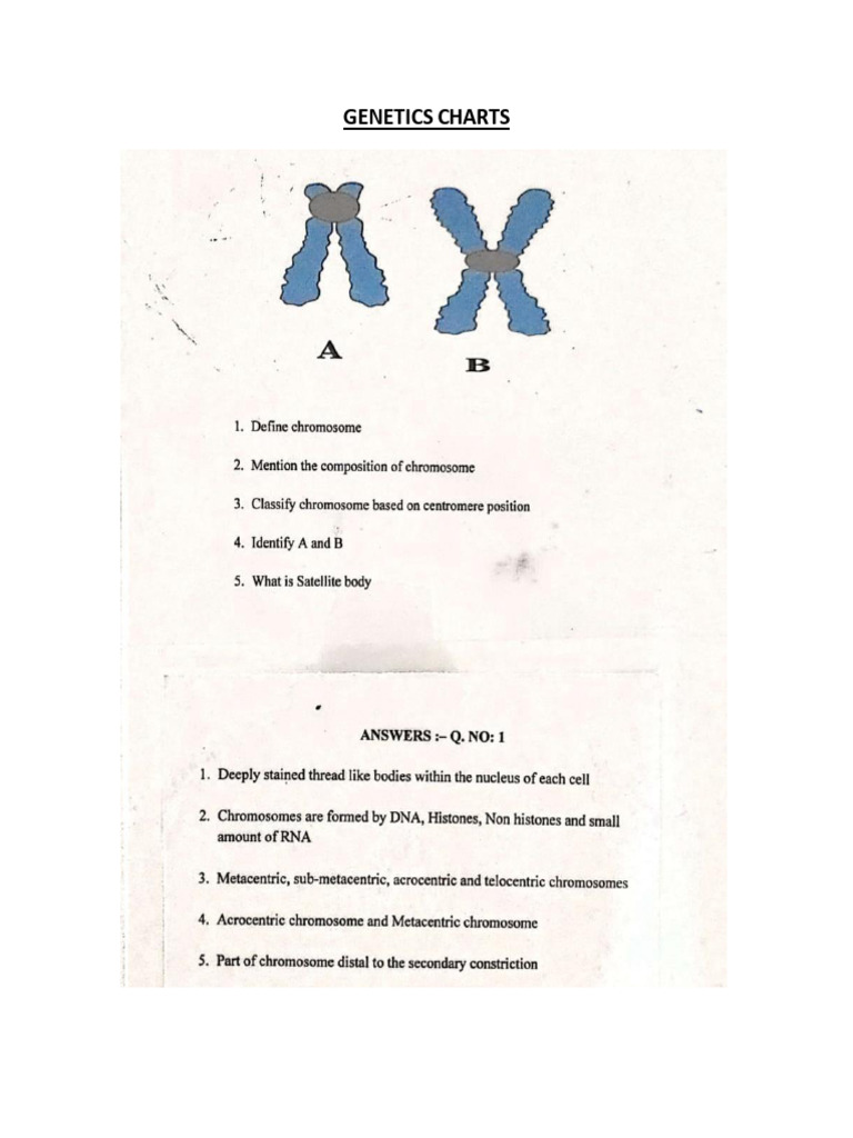 Genetics Charts | PDF