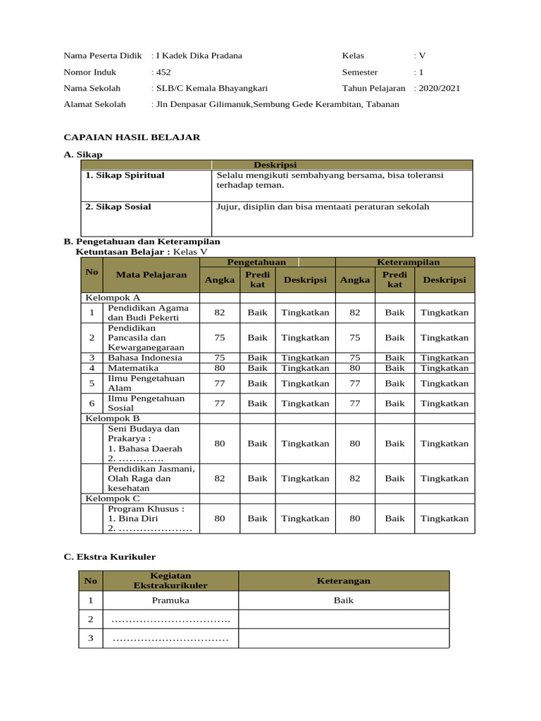 Raport | PDF