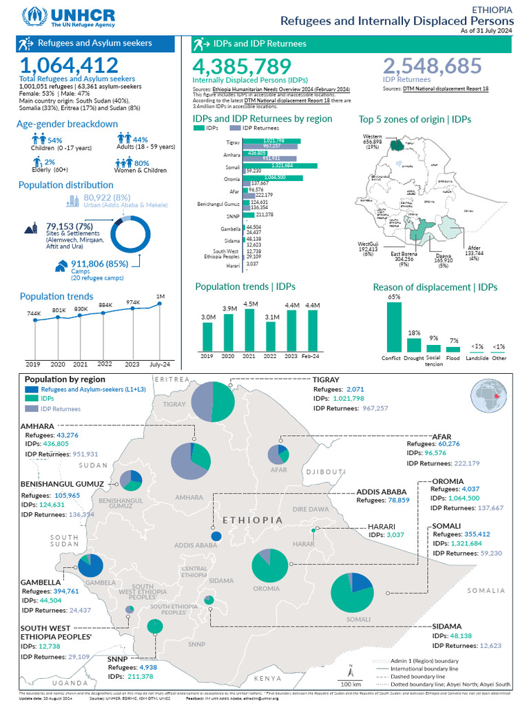 Ethiopia Refugee and IDP Report 2024 | PDF | Internally Displaced ...