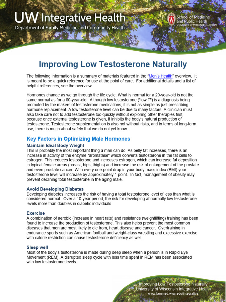 Tool Improving Low Testosterone Naturally | PDF | Opioid | Testosterone
