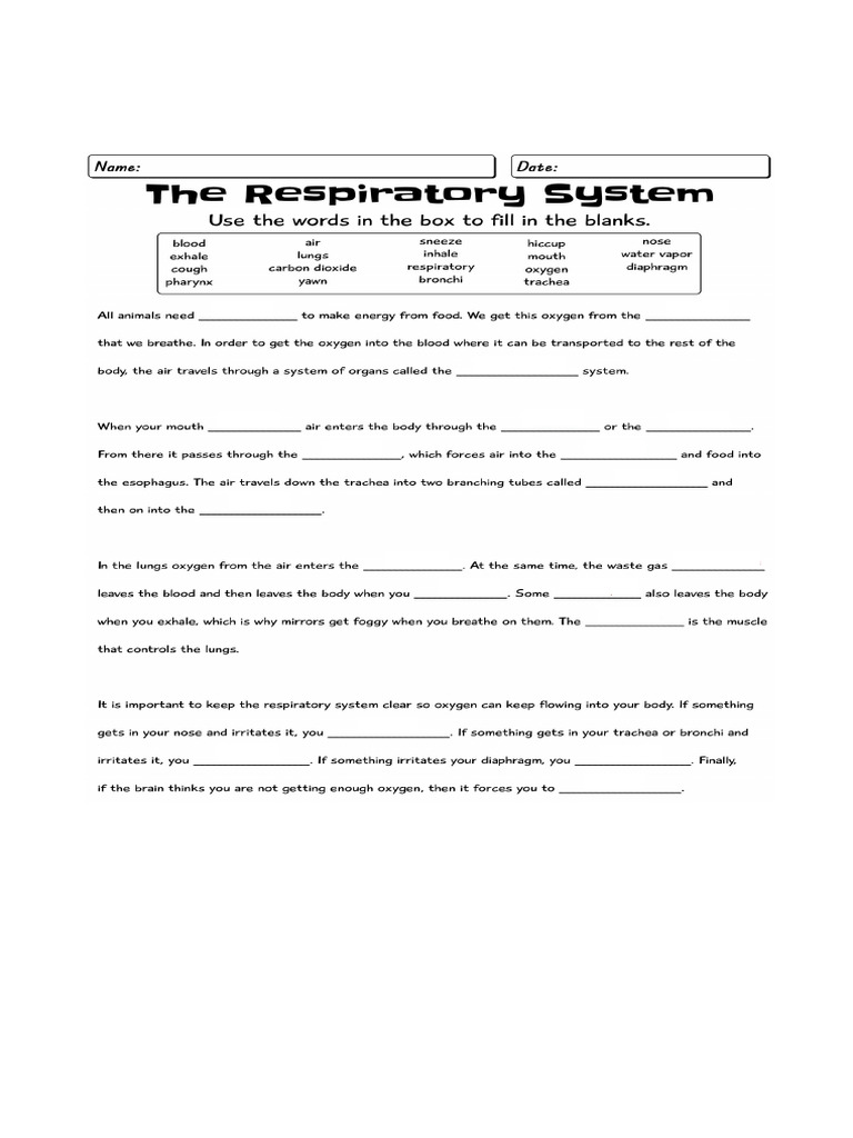 The Respiratory System Fill in Blanks Worksheet Answers 175131.Png | PDF