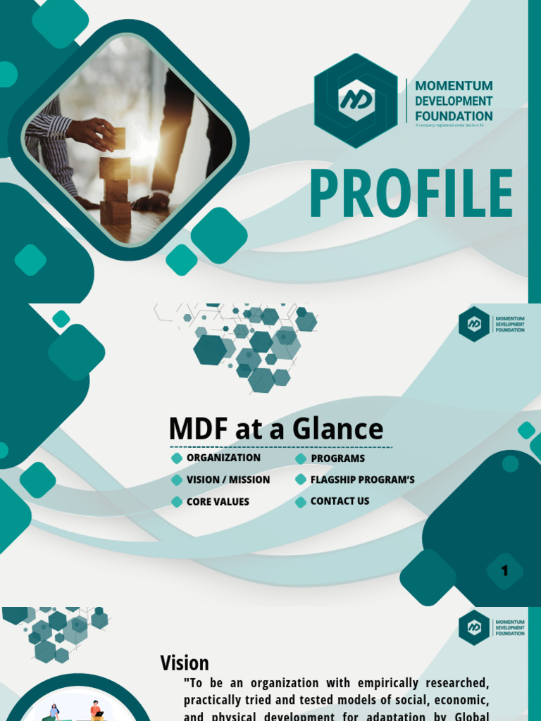 Momentum Development Foundation Overview | PDF
