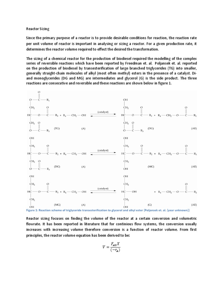 Reactor Sizing | PDF | Chemical Reactor | Triglyceride