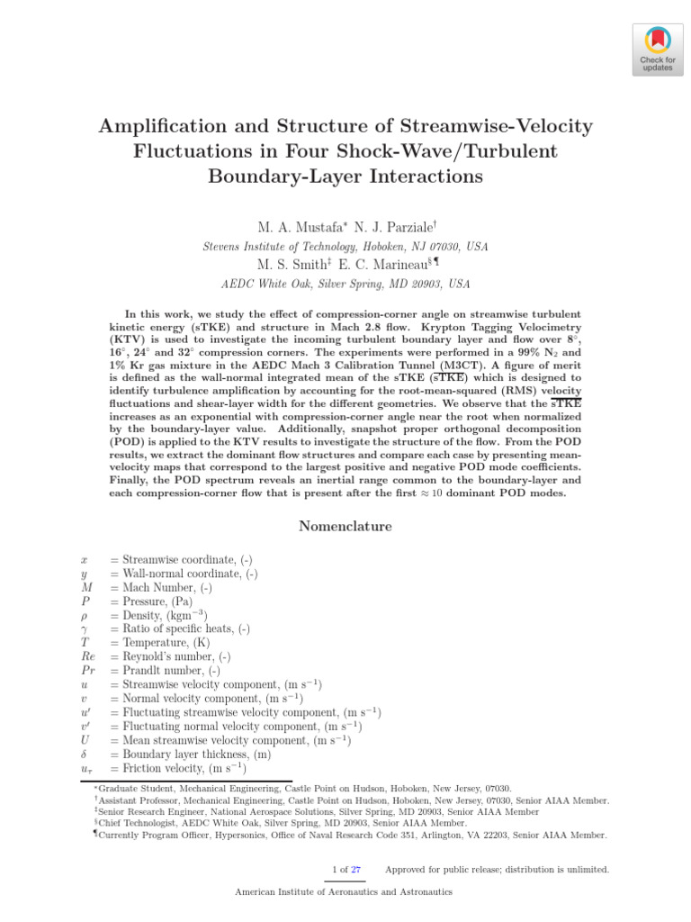Amplification and Structure of Streamwise-Velocity Fluctuations in Four ...