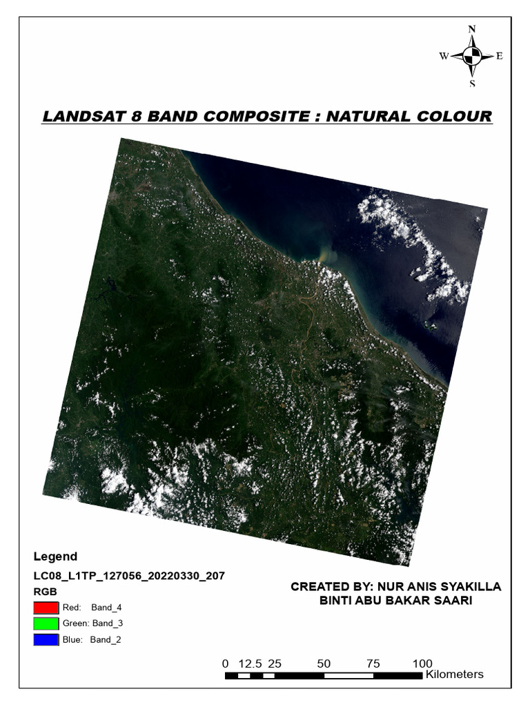 Lab2 Syakilla Naturalcolour | PDF
