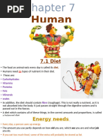 Grade 9 - Exam Fever | PDF
