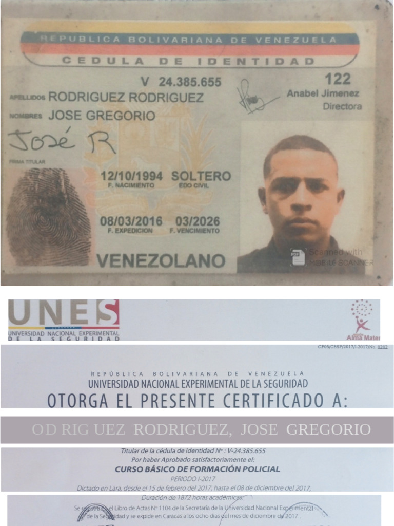 24385655 | PDF | Cumplimiento de la ley | Crimen y violencia