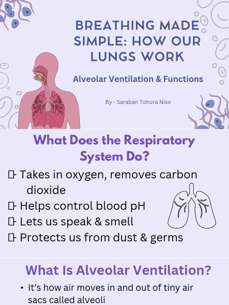 Breathing Made Simple How Our Lungs Work - 20250503 - 211011 - 0000 | PDF
