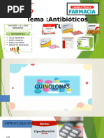 Clasificación y Usos de Quinolonas | PDF | Infección del tracto urinario | Medicina CLINICA
