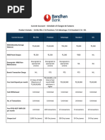 Bob Lite Current Account Overview | PDF | Transaction Account | Banks