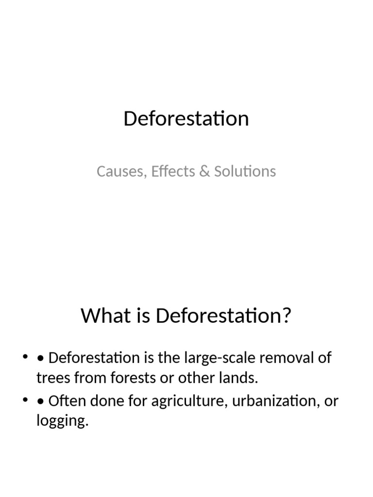 Deforestation Presentation 1 | PDF