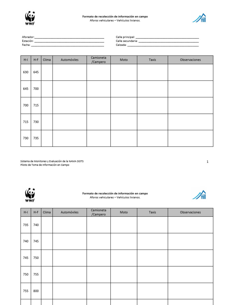Anexo 4 - Formato Para Aforo Vehiculos | PDF