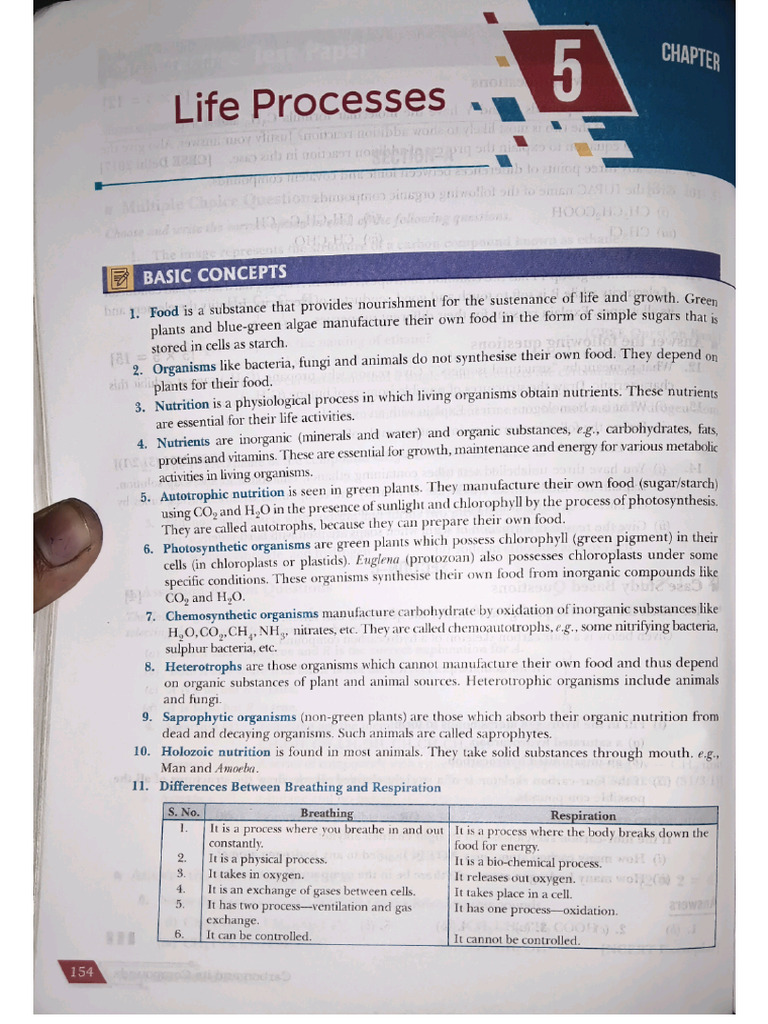 Life Processes Class 10th Pdf