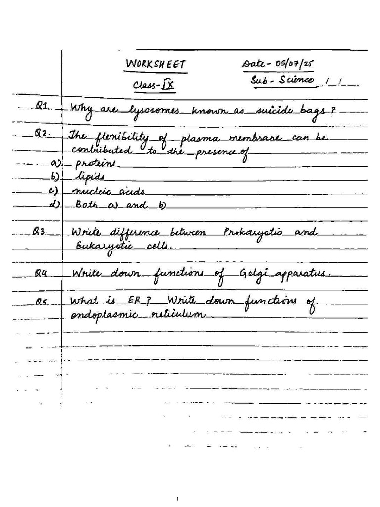 Science Worksheet IX | PDF