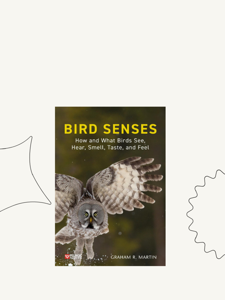 Bird Senses How and What Birds See Hear Smell Taste and Feel Graham ...