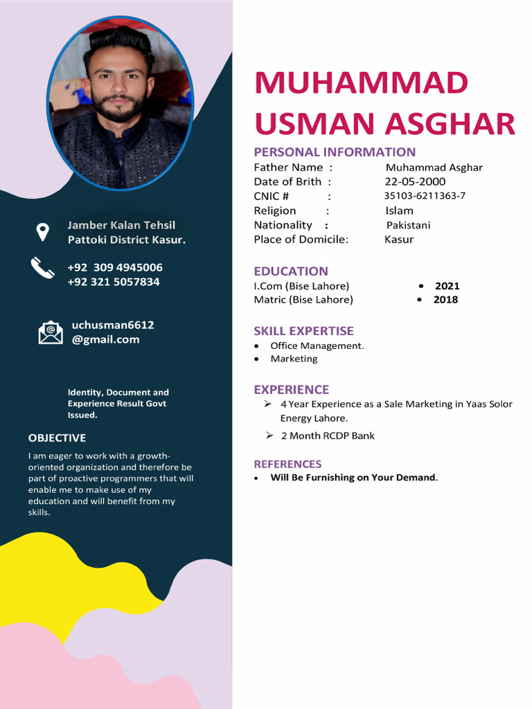 Usman Resume | PDF
