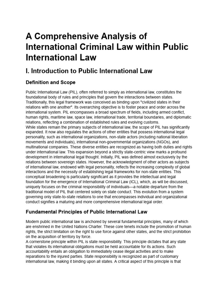 International Criminal Law Overview | PDF | International Criminal ...