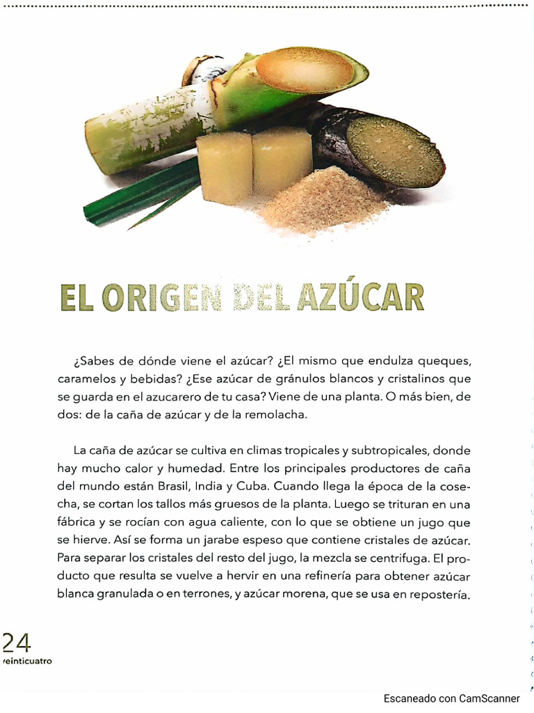 El Origen de La Azucar Martes 15 de Julio | PDF