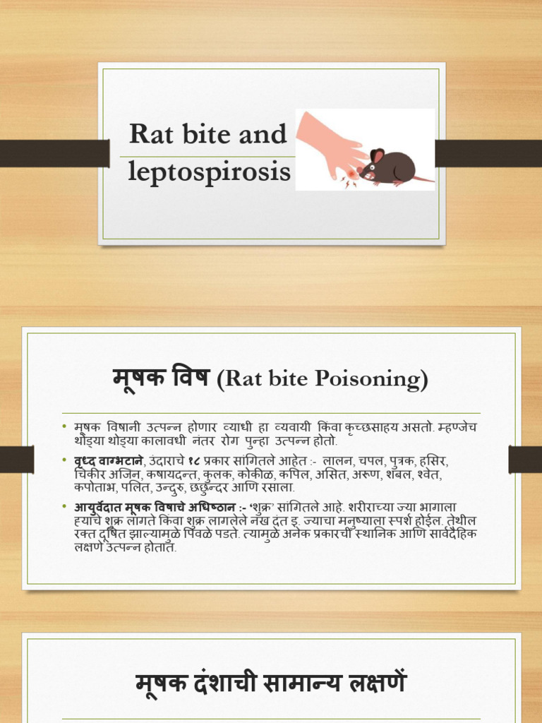 Agadtantra Rat Bite 0 Leptospirosis | PDF | Medicine | Animal Diseases